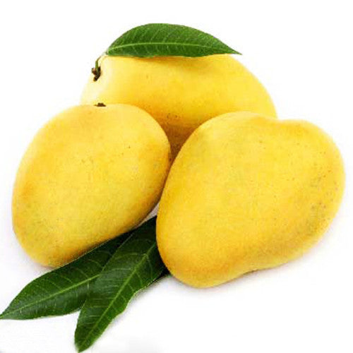 MANGO Chaunsa Air Freight Large Box – Empress Market UAE