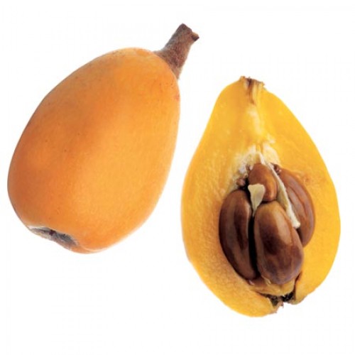 Fresh Loquat 1kg – Empress Market UAE